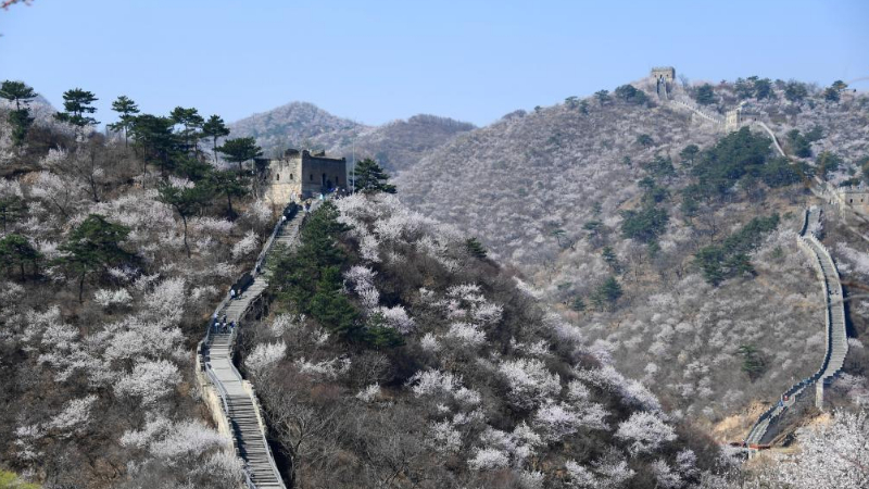 View of Great Wall in Beijing-China Story