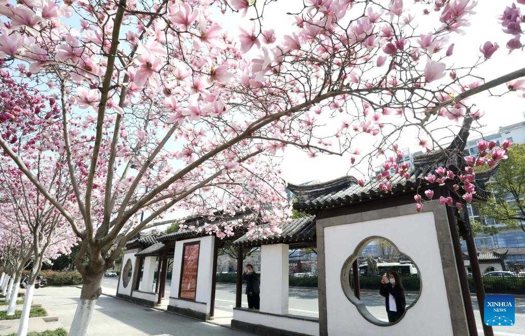 In pics: China in springtime-China Story
